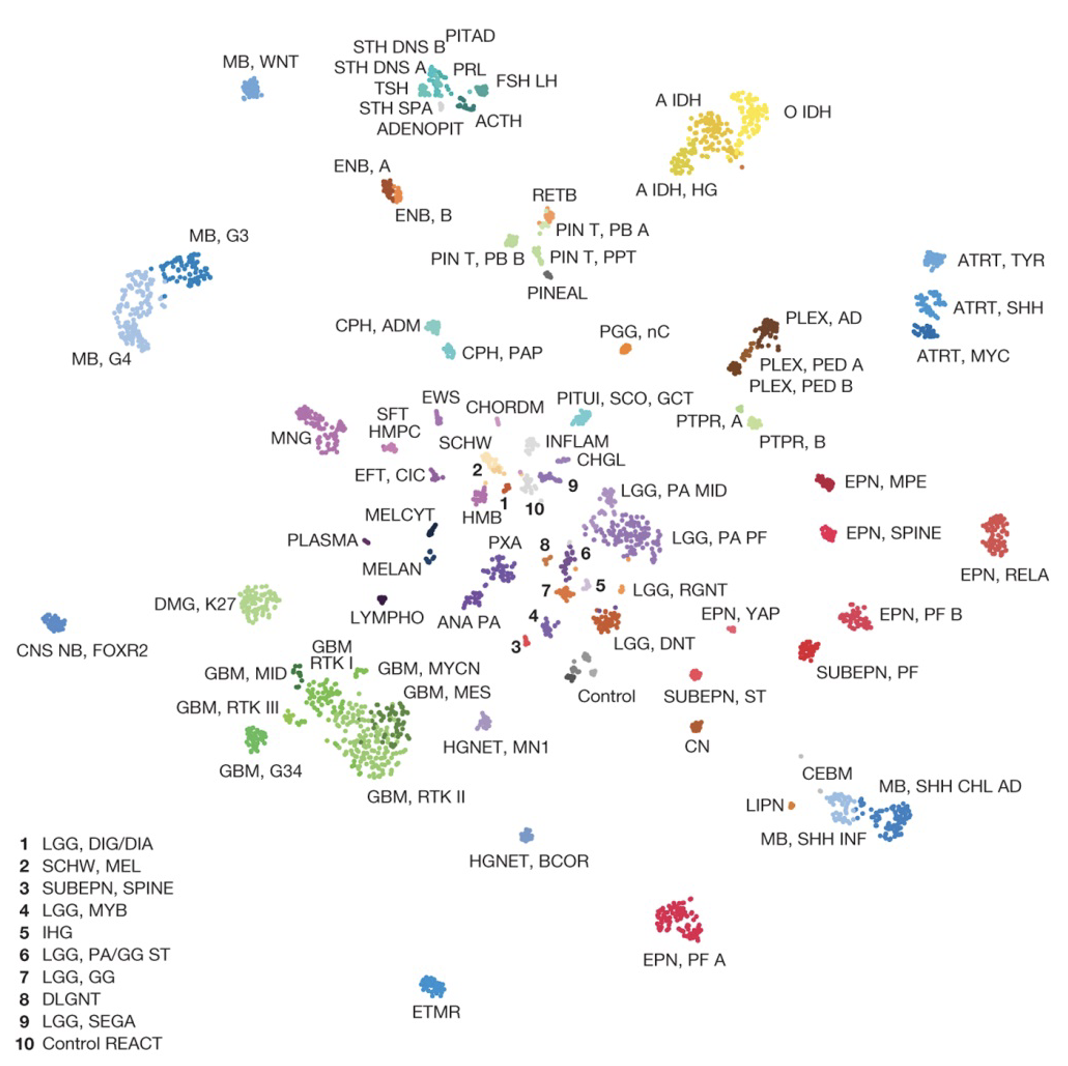 Our technology - Heidelberg Epignostix GmbH